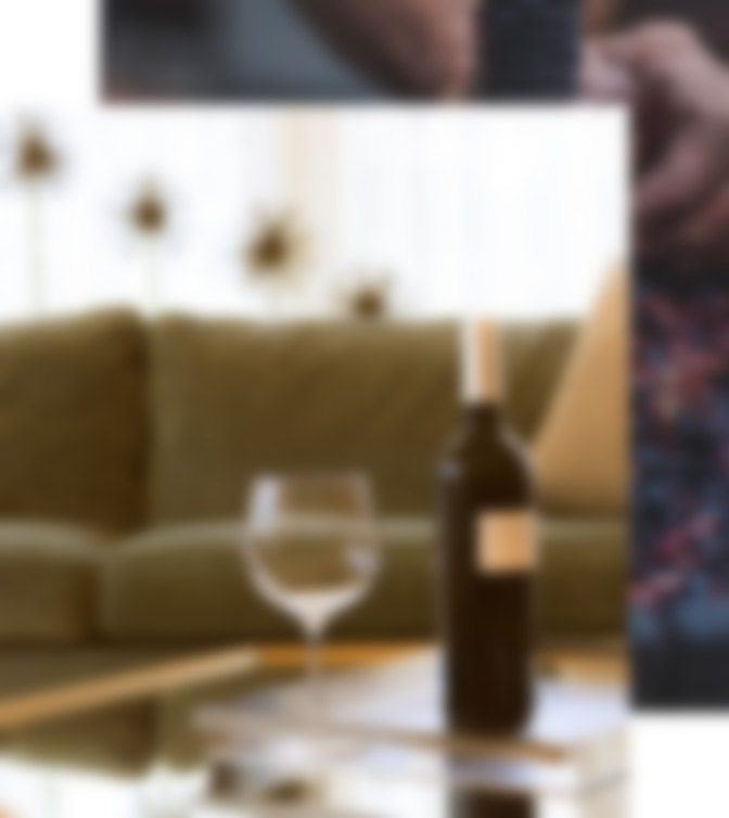 About - v37 - Domaine Albert Hertz